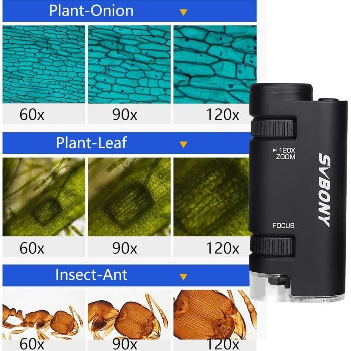 Sv603 Microscope Portable Avec Lumière Led, 60X-120X Mini Microscope ...