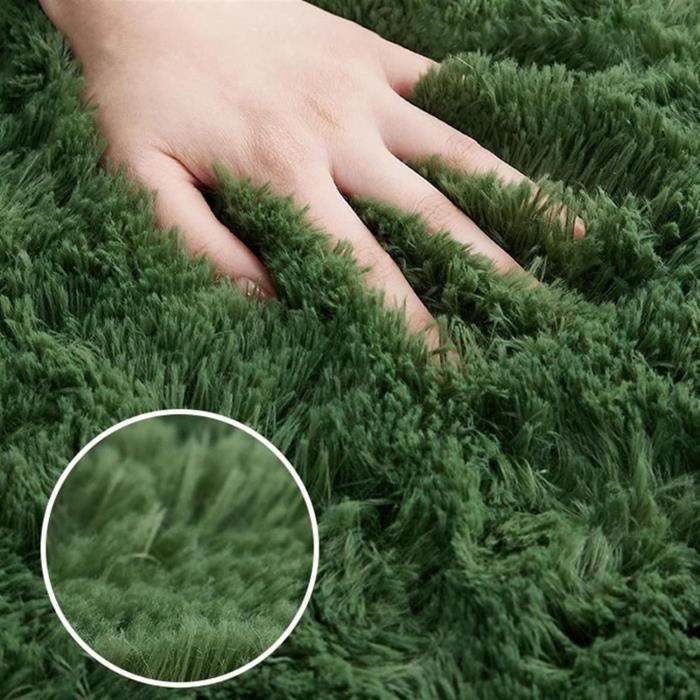 Tapis Doux Salon Tapis Anti Slip Moelleux Chambre Tapis Tapis Shaggy ...