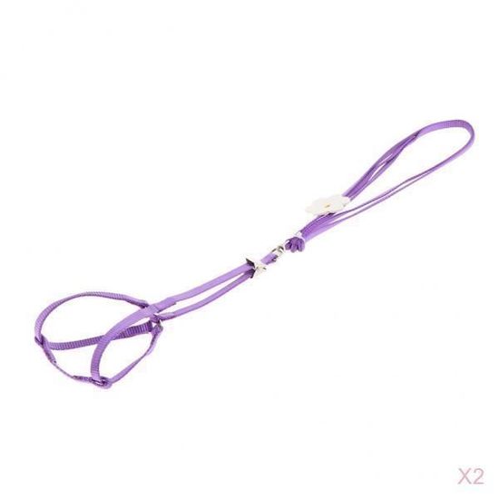 2 Pack Harnais pour Oiseaux en Nylon Perroquet Calopsitte Perroquet ...