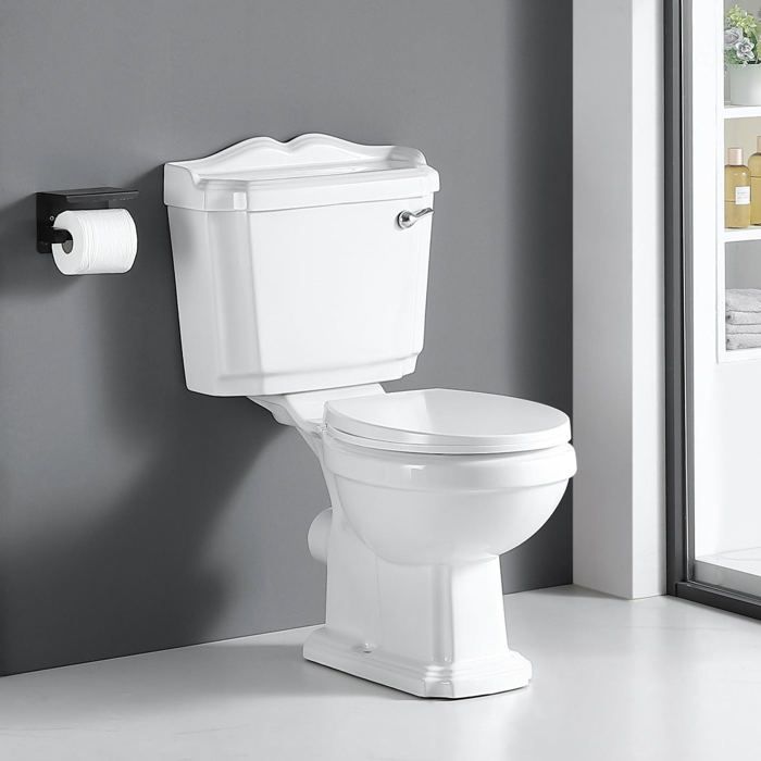 Toilette WC à poser rétro CHERY en céramique - Cdiscount Bricolage