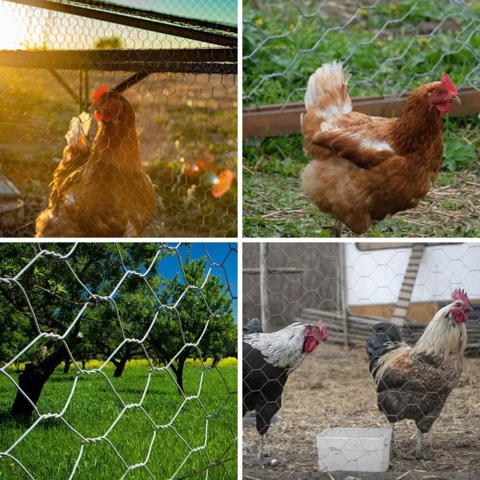 Izrielar Grillage à Poule L. 25m, Grillage Clôture Galvanisé, H. 0.5m ...