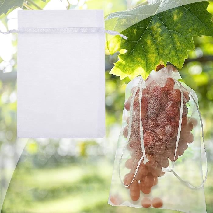 Sachet de Protection Fruits - AMOUNE - 50 pcs - 30x20cm - Blanc ...