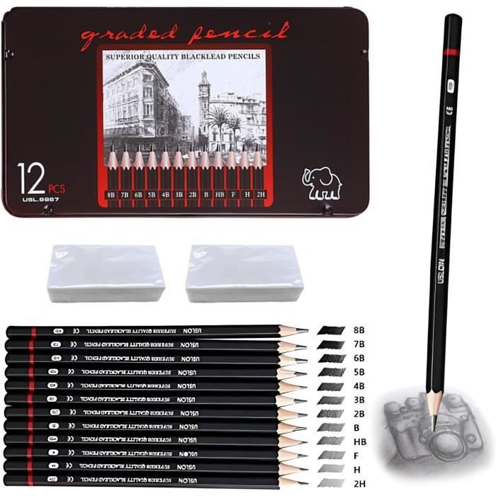 Lot De 12 Crayons À Croquis Avec 2 Gommes Blanches (8B 7B 6B 5B 4B 3B 2B B Hb F H 2H) Crayons ...