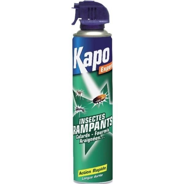 Aérosol tous insectes rampants KAPO EXPERT. 750ml. - Cdiscount Au quotidien