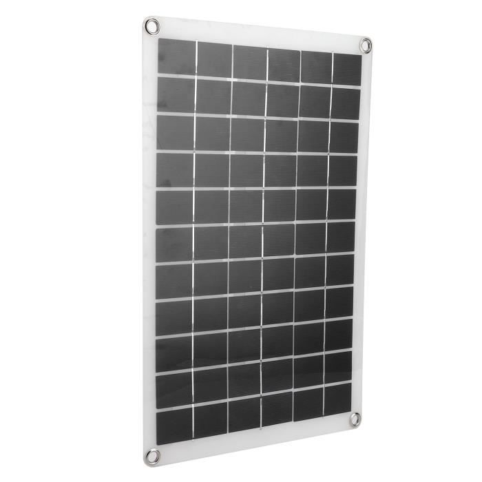 LEH - Panneau solaire portable Panneau de cellules solaires portable 100W sortie USB 12/24V ...