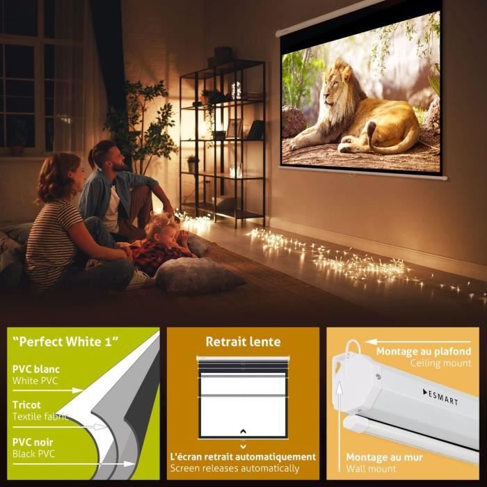 Economy Exr Écran De Projection Manuel 200 X 150 Cm (98") | Format 4:3 ...