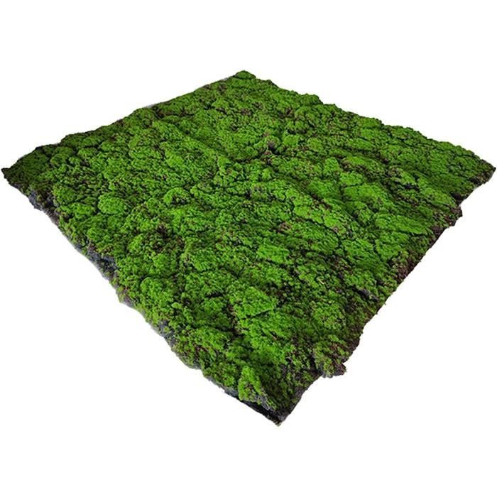 Mousse Murale Végétale Artificielle Pour Fausse Pelouse Scène Herbe ...