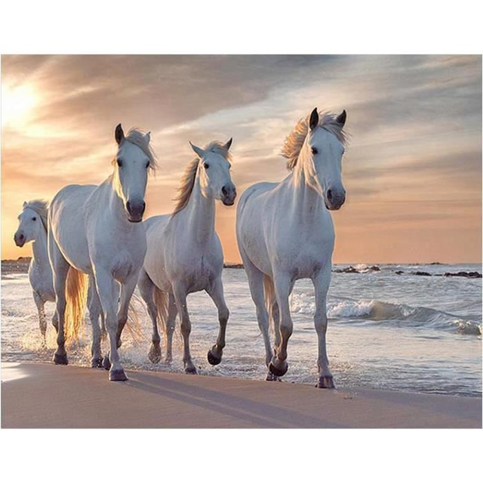 Diamond Painting Animaux Chevaux 50X40 Cm Diamant Painting Cheval Blanc ...