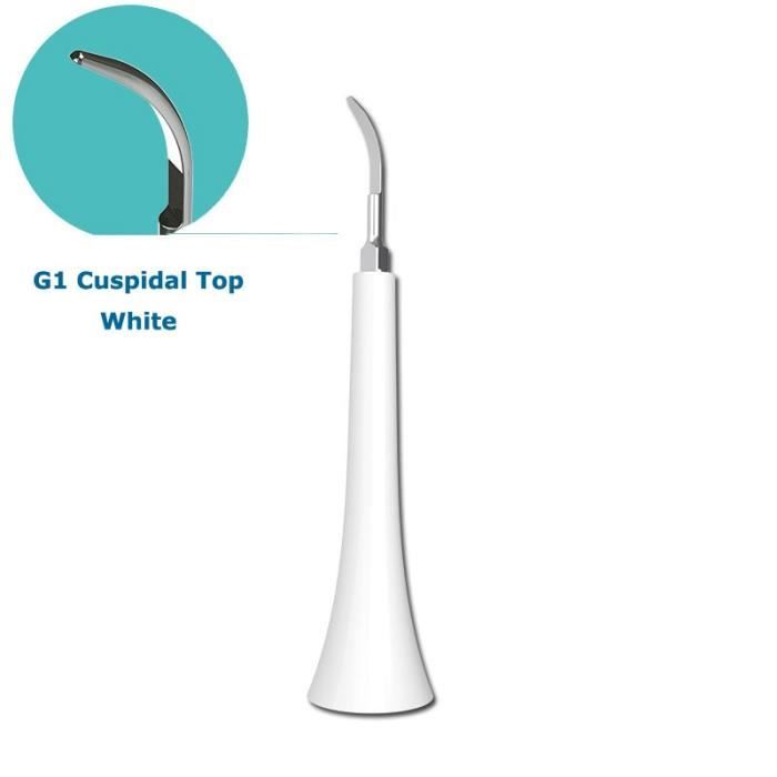 Brosses à dents,Embouts de détartreur à ultrasons compatibles avec ...