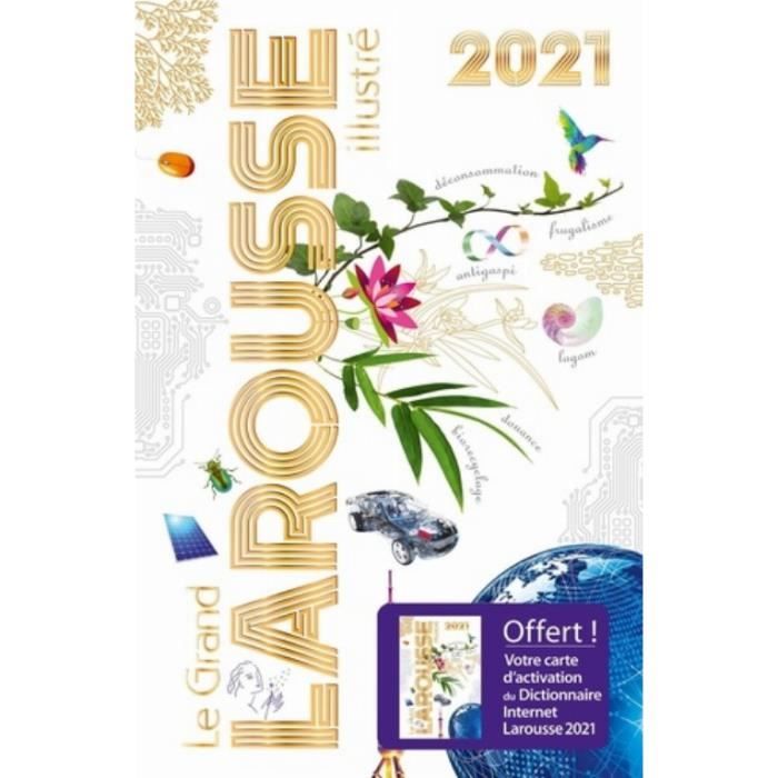 Dictionnaire larousse 2020 - Achat / Vente pas cher