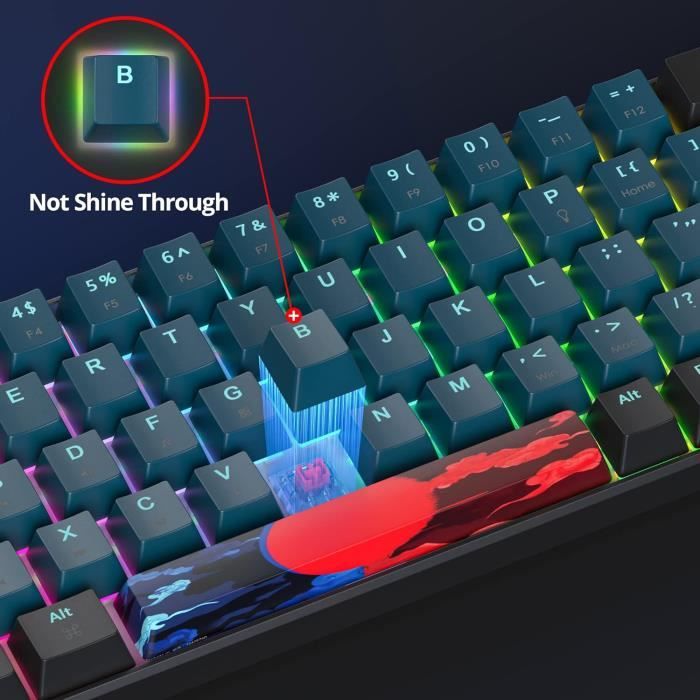 Clavier De Jeu Mécanique 65%,Clavier Filaire Compact Rétroéclairé Led ...