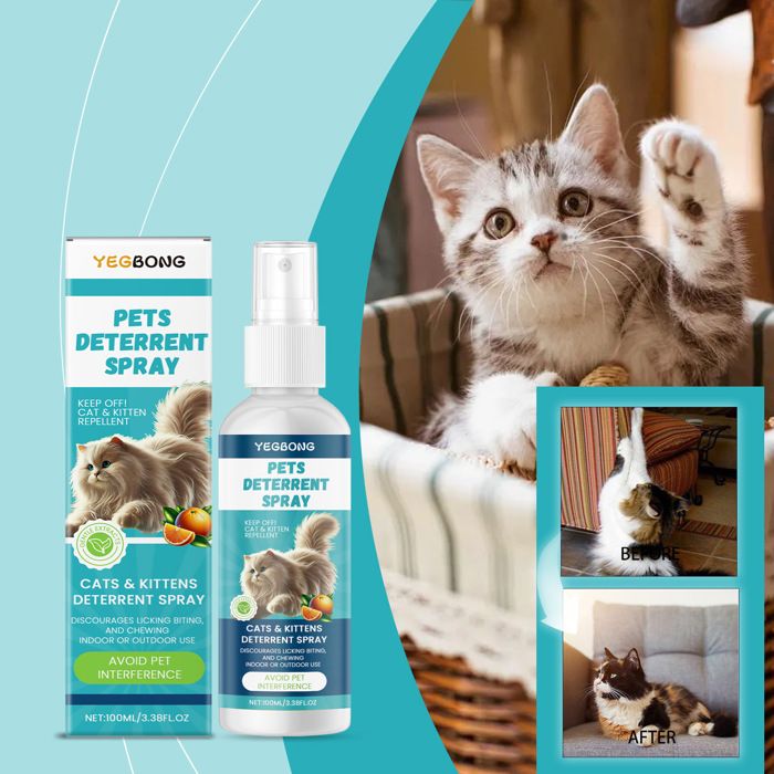Cat Deterrent Spray, Cat Spray Indoor - Effective Cat Scratch Furniture ...