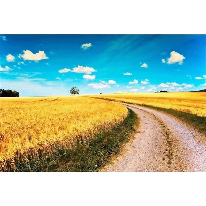 Diamond Painting Kit Complet, Petite Route,5D Diamant Peinture Enfant ...