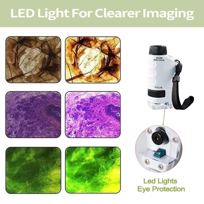 Microscope de Poche pour Enfants, Pocket Microscope Portable avec LED ...
