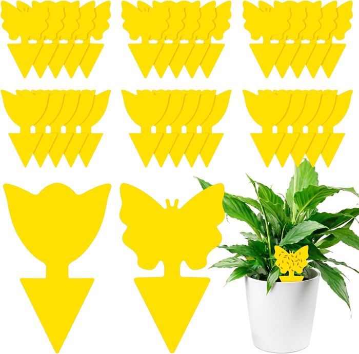 30 Pièges Anti Moucherons Interieur, Attrape Mouche Interieur Jaunes ...