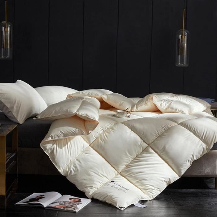 Couette 4 Saisons Double De Couette Double - Courtepointe en Soie De ...