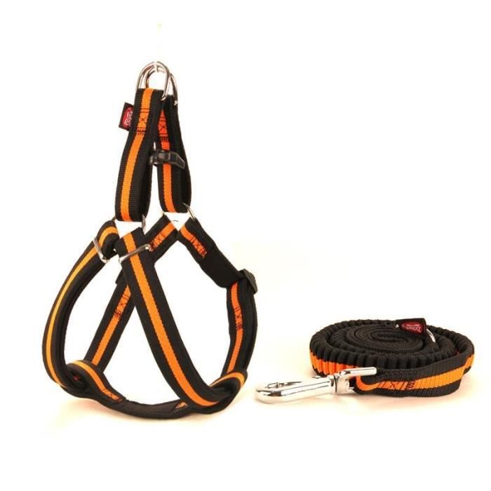 Harnais animal,Harnais réglable pour chien,ensemble de laisse souple ...