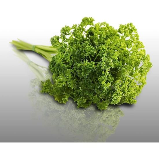 500 Graines D'Aromatiques-Persil Frise-Petroselinum Crispum[x4797 ...