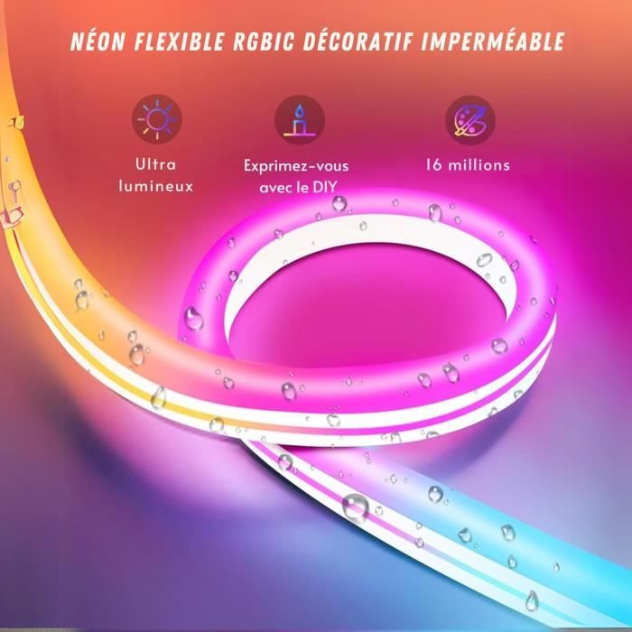 Ridgetube Kit Neon Led 5 Metres Rgbic Étanche Ip65, Idéal Pour Ruban ...