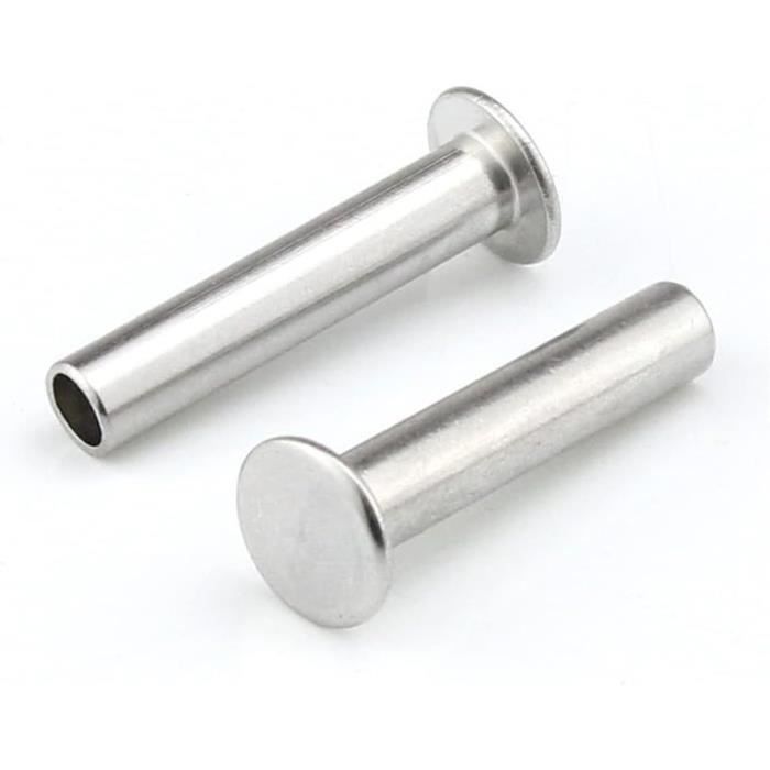 Lot De 100 Rivets À Tête Plate En Acier Inoxydable 304 À Tige Demi ...