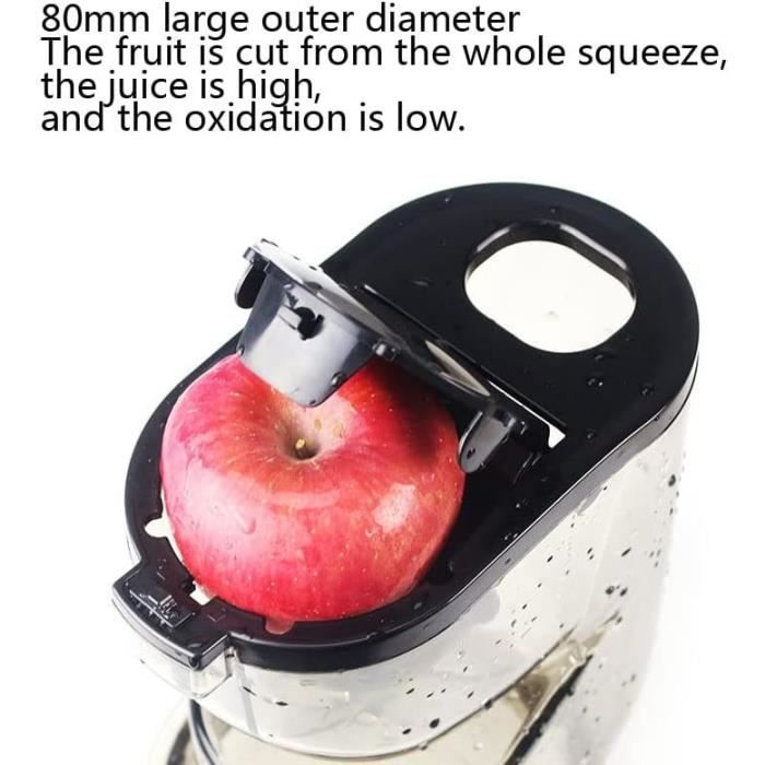 Extracteur De Mastication Lente Machine De Presse À Froid À Grande ...