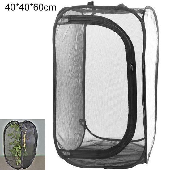 Boîte filet anti-insectes pliable, serre de plante pour observation et ...