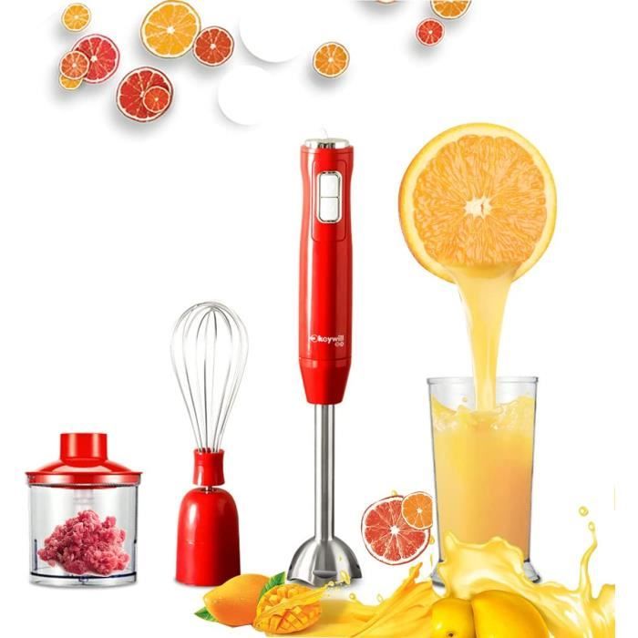 4 En 1 Mixeur Plongeant Mélangeur À Main En Acier Inoxydable, Mixeur À ...