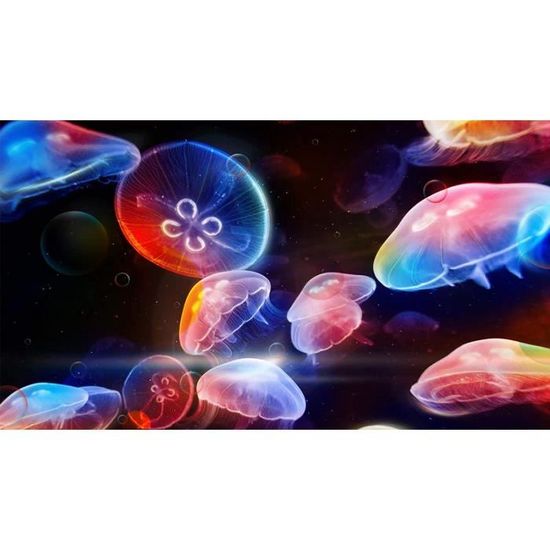 Méduse colorée - Puzzle DIY Enfants en Bois Puzzle Jeu Jouet 300 pièces ...