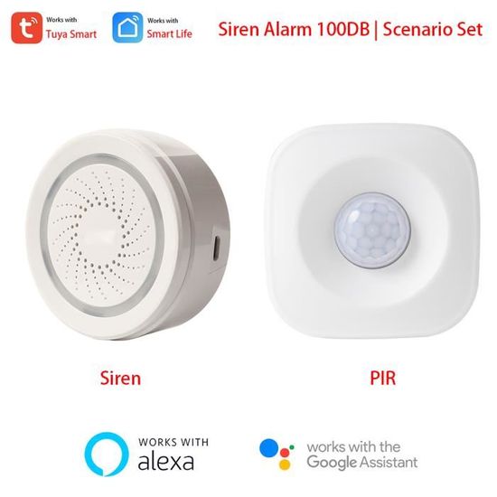 Siren Pir Smart Life WiFi USB 100DB Sirène Détecteur d'alarme sonore ...