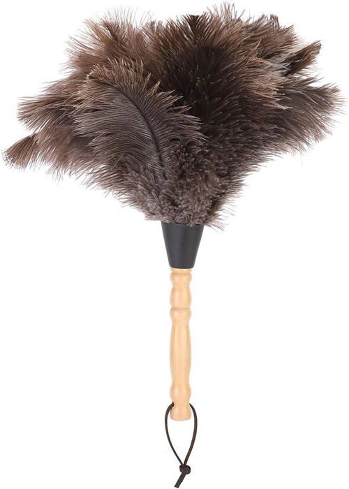 Plumeau pour la Maison, Plumeau en Plumes d'Autruche Antistatique avec ...