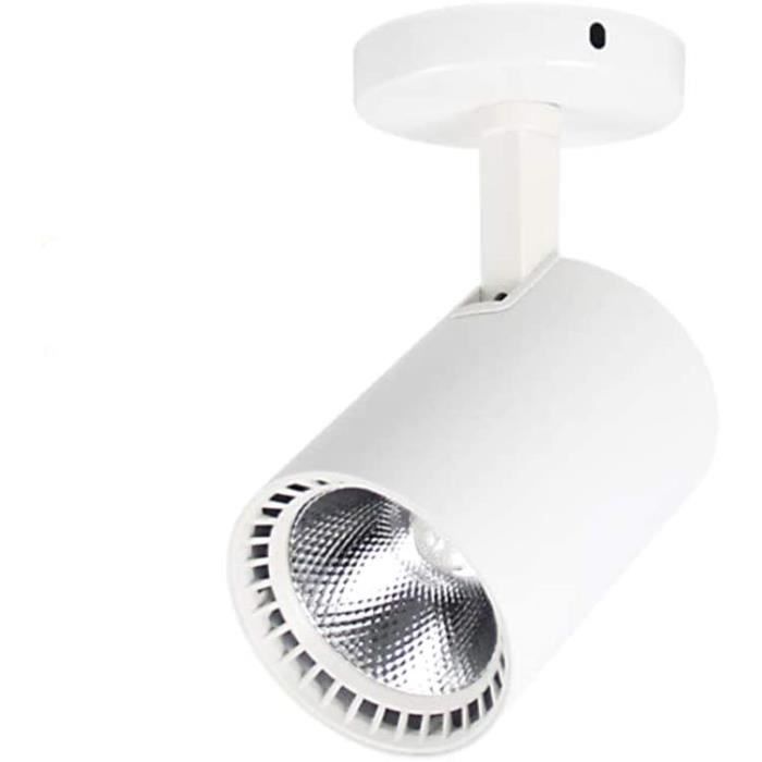 Plafonnier LED Spots orientables, 20W Projecteur À Focale LED pour ...