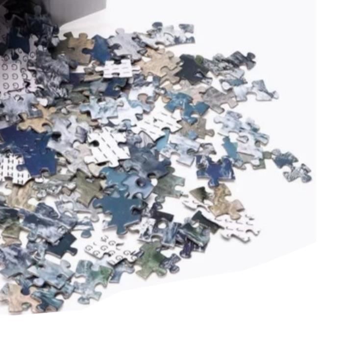 Puzzle - PWSHYMI - Puzzle de la Terre - 1000 pièces - Haute résolution ...