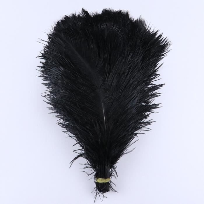 PLUME DE DECORATION,Black-8 inch-10 inch--Plumes'autruche blanches 20 ...