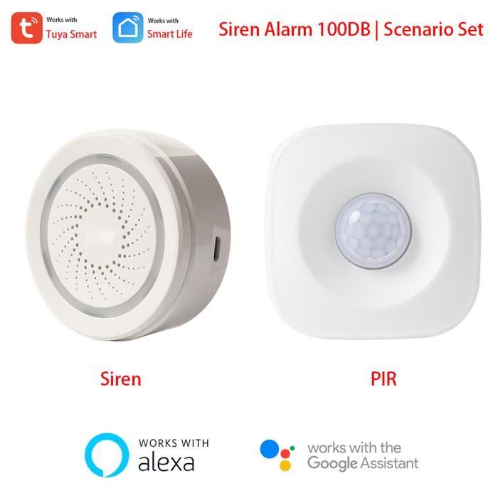 Siren Pir Smart Life WiFi USB 100DB Sirène Détecteur d'alarme sonore sans fil Lumière d'alerte ...