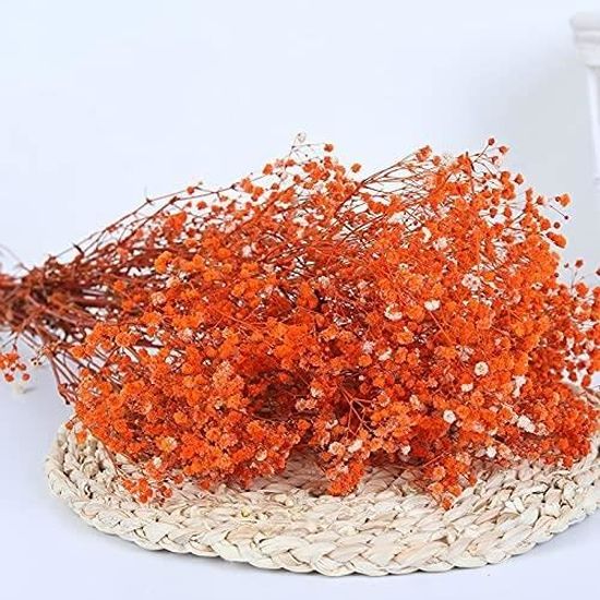 Gypsophiles naturelles séchées, bouquets de gypsophiles paniculées ...