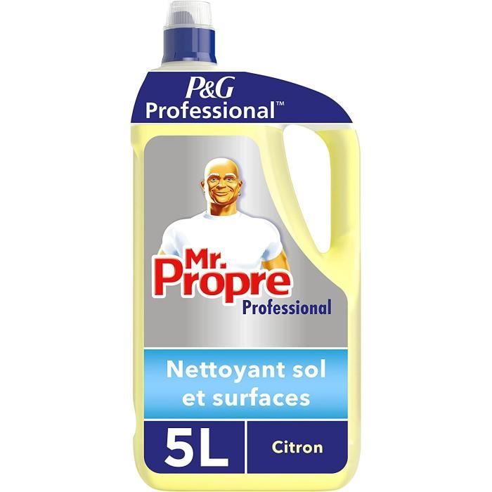 Mr. Propre Citron D’Été Professional Nettoyant Sols et Multi-Surfaces 5 ...