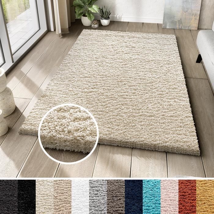 TAPISO Tapis Salon Shaggy Poil Long ESSENCE Beige Unicolore ...