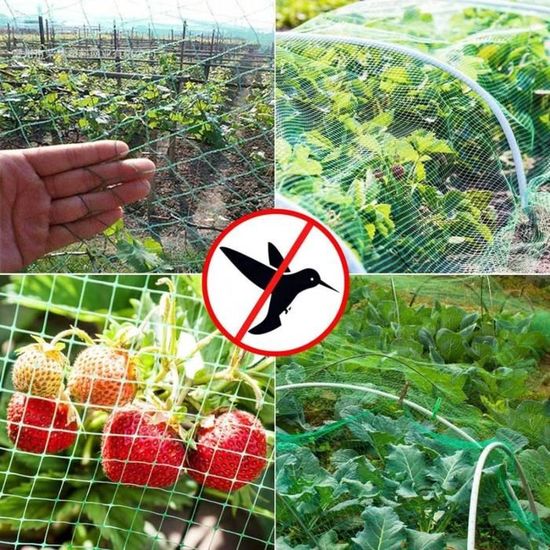 Filet Anti Oiseaux Cerisier Filets Anti Oiseaux pour Le Jardin Filet de Protection pour Bassin d ...