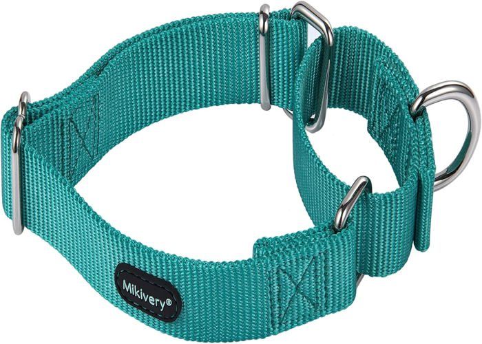 Martingale Collier pour chien en nylon réglable et sécurisé avec boucle ...