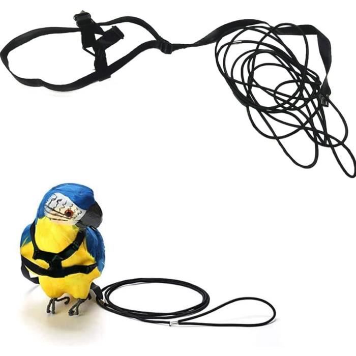 Harnais Perroquet Harnais Réglable Pour Perroquets Laisse AntiMorsure ...