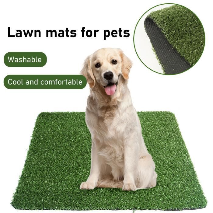 Fydun Tapis d'herbe pour chien Lot de 2 tapis de pipi en gazon pour ...