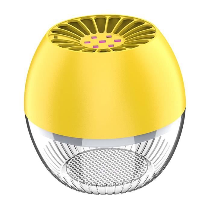 Piège à Insectes et Insectes Volants D'intérieur Piège à Mouches Des ...