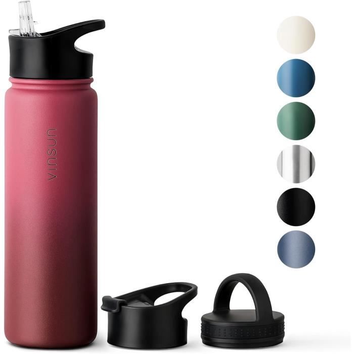 Vinsun Gourde Isotherme Inox 750ml - avec Paille (3 Bouchons) - étanche ...