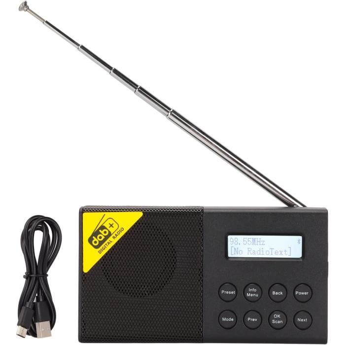 Radio Numérique Bluetooth Sans Fil Dab-Dab+ Fm, Récepteur Radio ...
