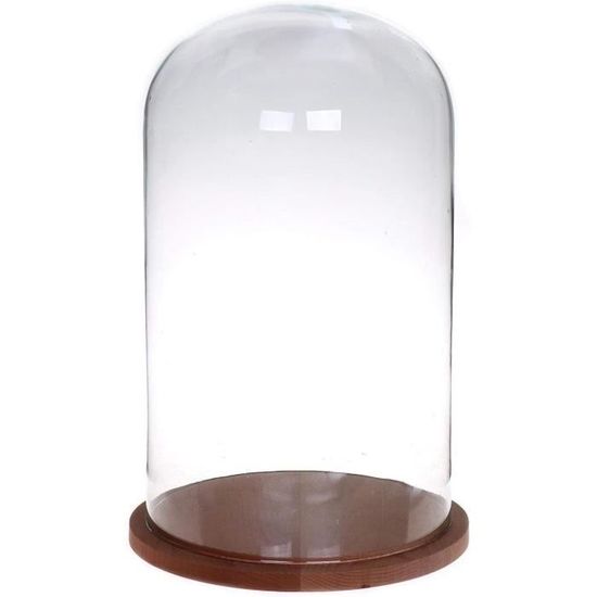 INNA-Glas Cloche en Verre HELVIN avec Socle en Bois, Transparent, 38cm ...