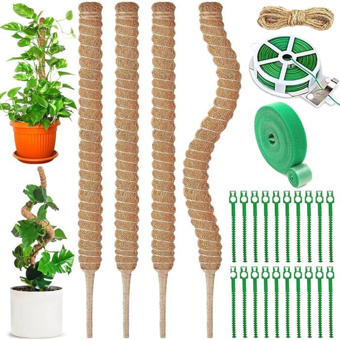 Lot de 4 Tuteur Plante, 70cm Tuteur Monstera Pliable, Grimpante sur ...
