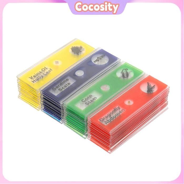 Cocosity lames de microscope préparées pour les enfants Lames de ...