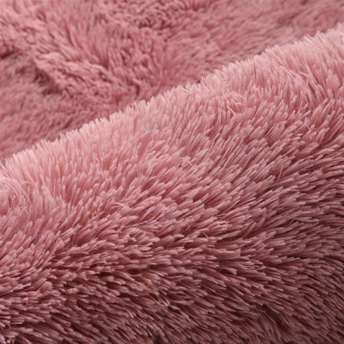 Tapis Doux Salon Tapis Anti Slip Moelleux Chambre Tapis Tapis Shaggy ...