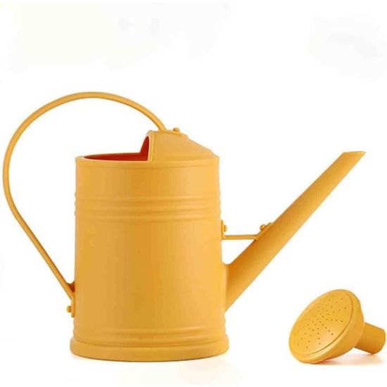 Arrosoir pour plantes d'intérieur - Petit Arrosoir Moderne avec Poignée ...
