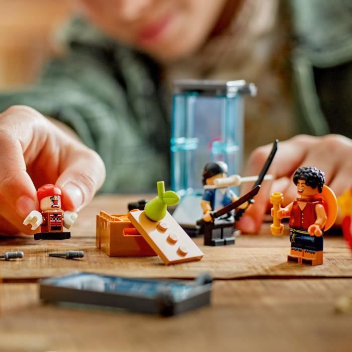LEGO ONE PIECE 75637 Le Chapiteau de Baggy le Clown - Jeu pour enfant ...